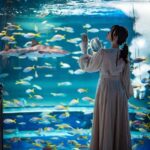 Kobe: Urban Aquarium AQUARIUM×ART átoa Entry Ticket - Exploring the Highlights: What Makes the Atoa Aquarium Special