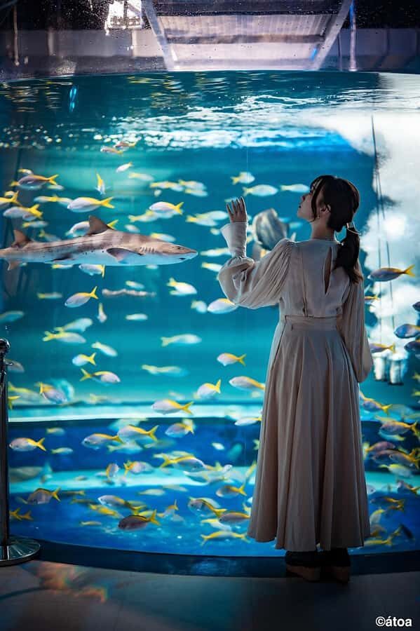 Kobe: Urban Aquarium AQUARIUM×ART átoa Entry Ticket - Exploring the Highlights: What Makes the Atoa Aquarium Special