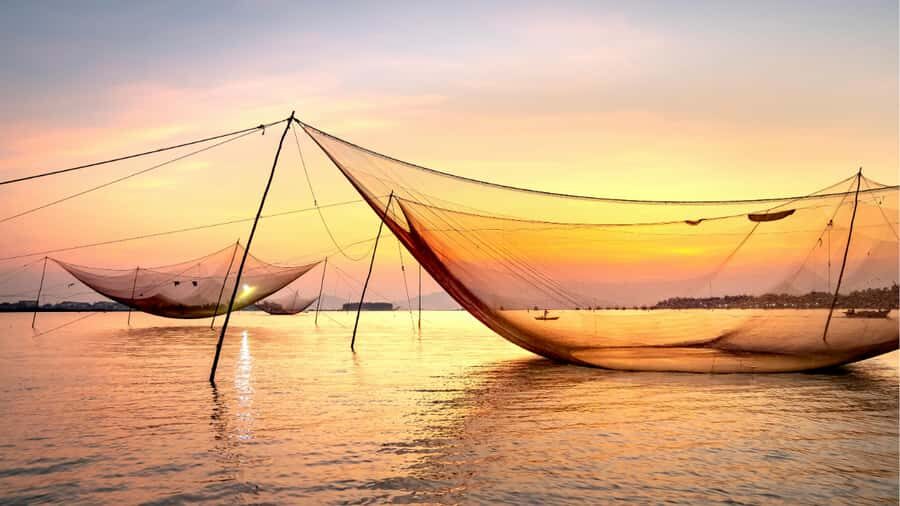Kochi: All-Inclusive Full or Half-Day Tour with Boat Cruise - Who Will Love This Tour?