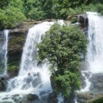 Kochi Nature Day Tour: Caves, Waterfalls and Viewpoint - An In-Depth Look at the Itinerary