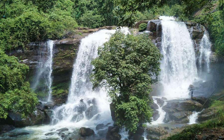 Kochi Nature Day Tour: Caves, Waterfalls and Viewpoint - An In-Depth Look at the Itinerary