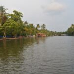 Kochi: Private Backwater Houseboat Day Cruise with Transfers - What Travelers Are Saying