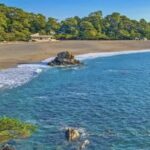 Kochi Private Custom Tour with Local Guide - What to Expect on Your Kochi Adventure