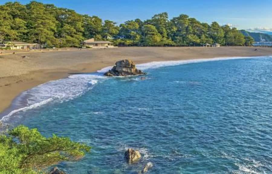 Kochi Private Custom Tour with Local Guide - What to Expect on Your Kochi Adventure