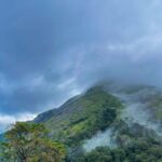 Kochi: Private Kerala Scenic Beauty Day Tour with Lunch - Final Thoughts: Is it Worth It?