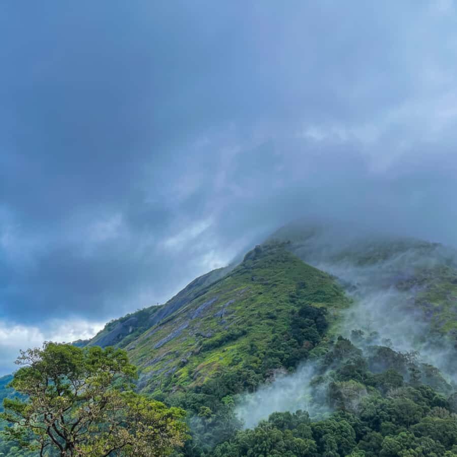 Kochi: Private Kerala Scenic Beauty Day Tour with Lunch - Final Thoughts: Is it Worth It?