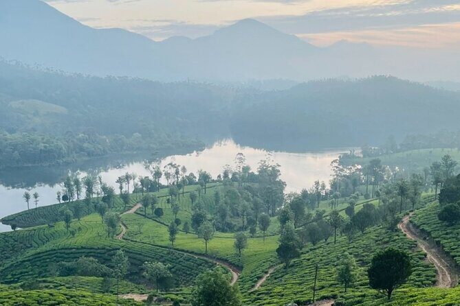 Kochi to Munnar Full Day Tour with Eravikulam, lockhart and Lunch - What’s Included and How It Adds Value