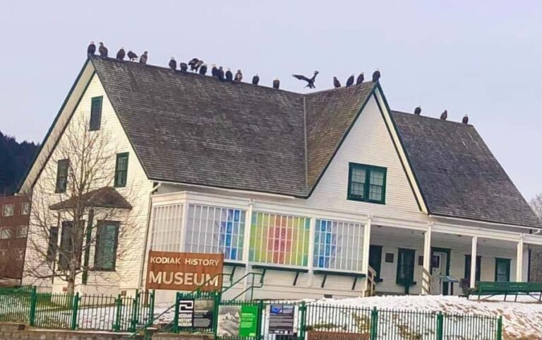 Kodiak: History, Culture, and Commercial Fishing Tour - The Sum Up