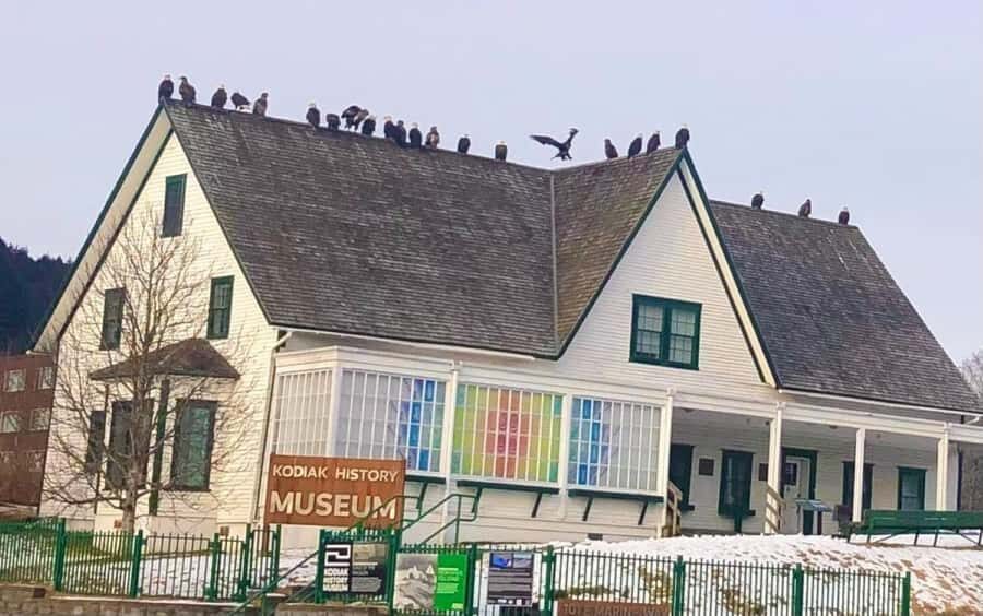 Kodiak: History, Culture, and Commercial Fishing Tour - The Sum Up