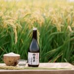 Koga: Aoki Shuzo Sake Brewery Tour with Tasting - What to Expect on the Sake Brewery Tour