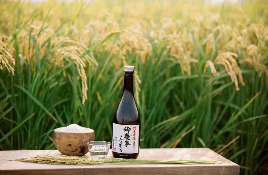 Koga: Aoki Shuzo Sake Brewery Tour with Tasting - What to Expect on the Sake Brewery Tour