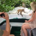 Koggala Lake Safari: Monkeys, Wildlife & Cinnamon Island Visit - Who Will Love This Tour?