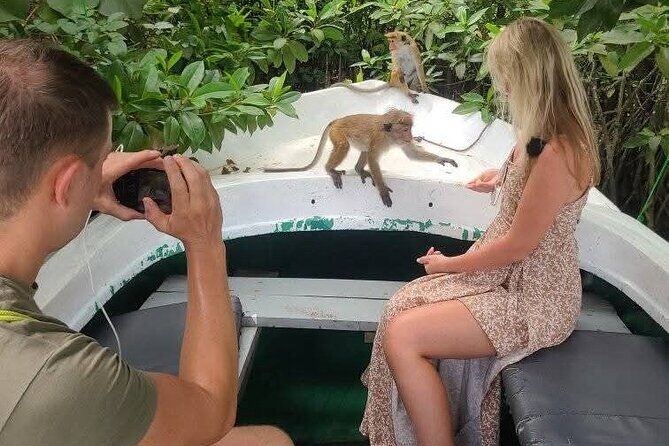 Koggala Lake Safari: Monkeys, Wildlife & Cinnamon Island Visit - Who Will Love This Tour?