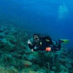 Koh Chang: 3-Day PADI Open Water Scuba Dive Course - Authentic Reviews and What They Say