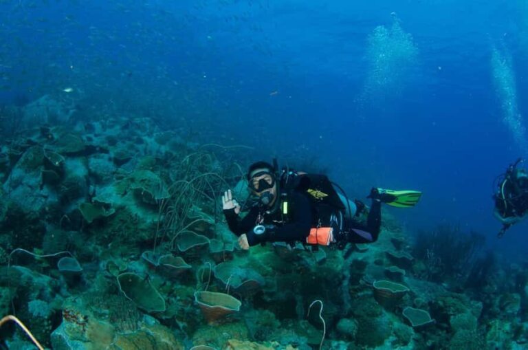 Koh Chang: 3-Day PADI Open Water Scuba Dive Course - Authentic Reviews and What They Say