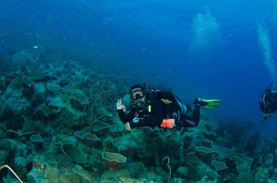 Koh Chang: 3-Day PADI Open Water Scuba Dive Course - Authentic Reviews and What They Say