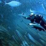 Koh Kood: Discover Scuba Diving for Beginners with 2 Dives - What Makes This Tour Stand Out?