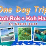 Koh Lanta: Koh Rok and Koh Ha Snorkeling Day Trip - What Makes This Tour Stand Out