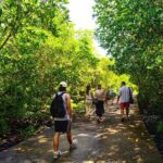 Koh Lanta Mangrove Adventure and Old Town Tour by Long Tail Boat - FAQ