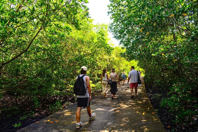 Koh Lanta Mangrove Adventure and Old Town Tour by Long Tail Boat - FAQ