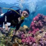 Koh Lipe Beginner Scuba Diving Half Day Tour with Lunch - What’s Included and What’s Not
