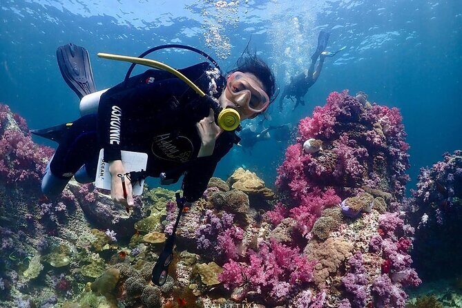 Koh Lipe Beginner Scuba Diving Half Day Tour with Lunch - What’s Included and What’s Not