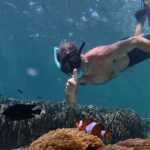 Koh Lipe Morning Snorkeling Trip 4 Islands, 5 Spots - Authentic Experiences and Traveler Insights
