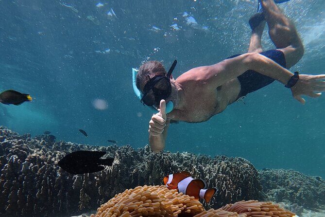 Koh Lipe Morning Snorkeling Trip 4 Islands, 5 Spots - Authentic Experiences and Traveler Insights