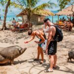 Koh Madsum and Koh Tan Snorkeling Trip By Speedboat From Koh Samui - What the Reviews Say