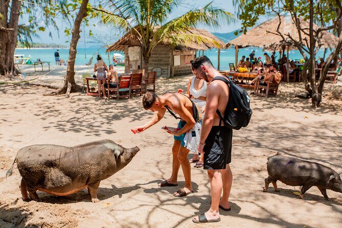 Koh Madsum and Koh Tan Snorkeling Trip By Speedboat From Koh Samui - What the Reviews Say