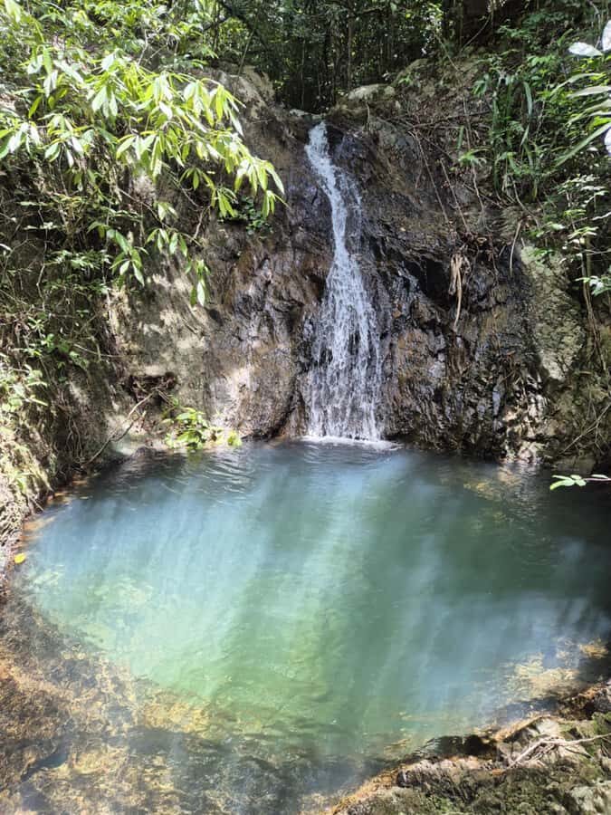 Koh Phangan: Hidden Jungle Trekking & Waterfall Adventure - Meet the Pet Pigs and Watch Coconut Cracking