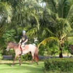 Koh Samui: 1-Hour Horseback Riding on Taling Ngams Shores - What to Expect From the Ride