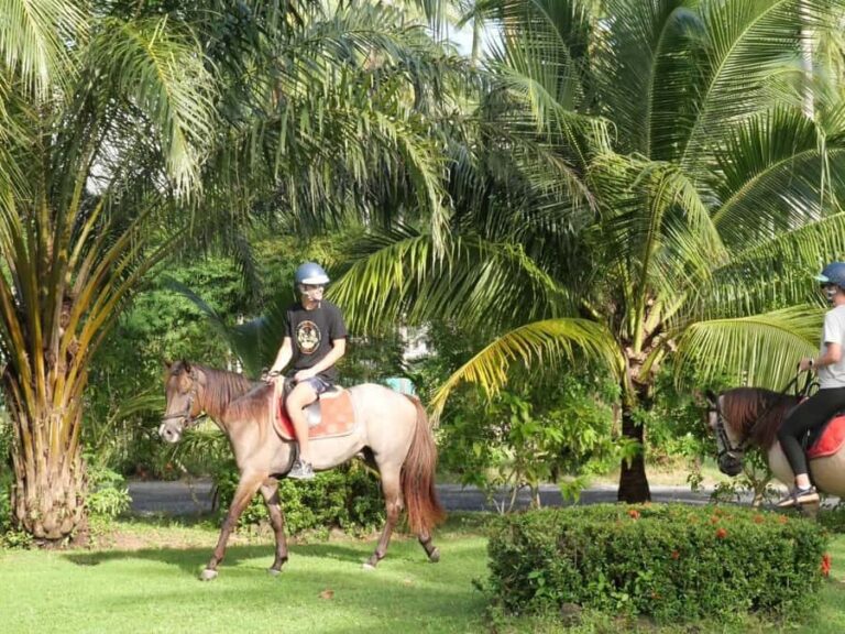 Koh Samui: 1-Hour Horseback Riding on Taling Ngams Shores - What to Expect From the Ride