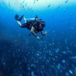 Koh Samui: 3-Day PADI Open Water Diver Course - Why This Course Works for Travelers