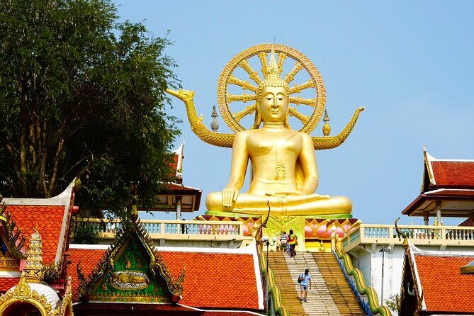 Koh Samui 4WD Shore Excursion All Island Highlights in One Trip - What the Tour Includes and What to Consider