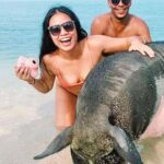 Koh Samui: Amazing Pig Island Tour - Cruise Ship Tours - Transport and Logistics