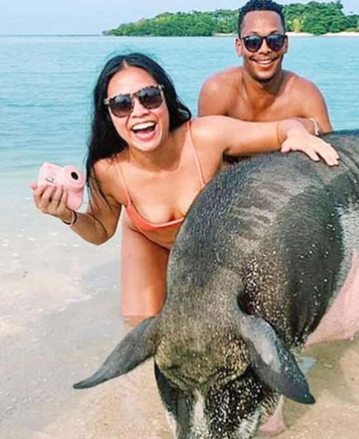 Koh Samui: Amazing Pig Island Tour - Cruise Ship Tours - Transport and Logistics