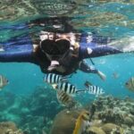 Koh Samui: Ang Thong Marine Park Day Tour by Speedboat - The Value of the Tour