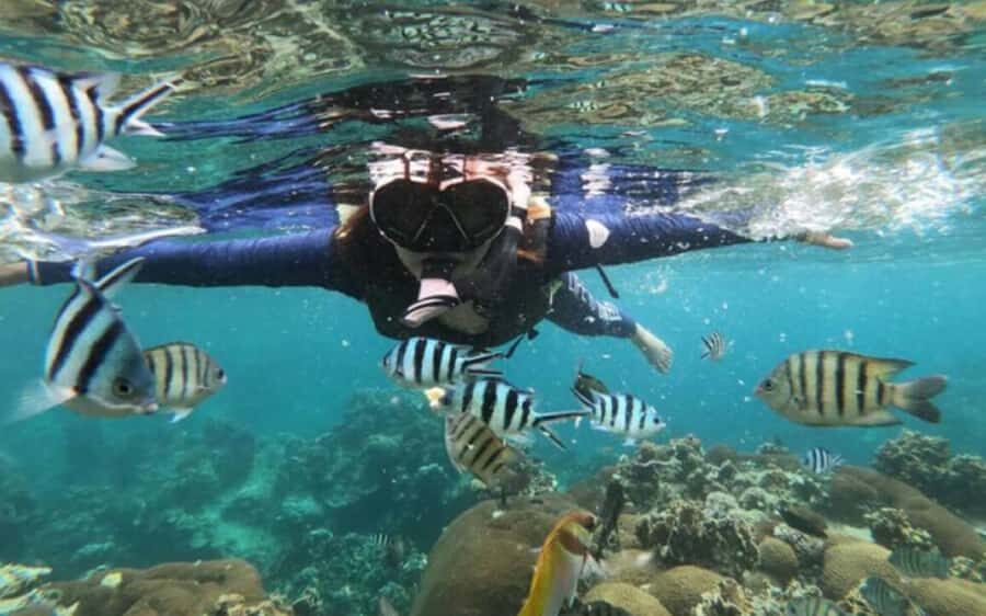 Koh Samui: Ang Thong Marine Park Day Tour by Speedboat - The Value of the Tour