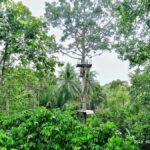 Koh Samui: ATV And Zipline Experience with Transfer - Final Thoughts