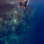 Koh Samui: Discovery Dive to Koh Tao or Sail Rock - Who Should Consider This Tour
