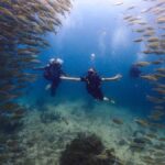 Koh Samui: Dive Tour to Koh Tao - What to Expect at Each Stop