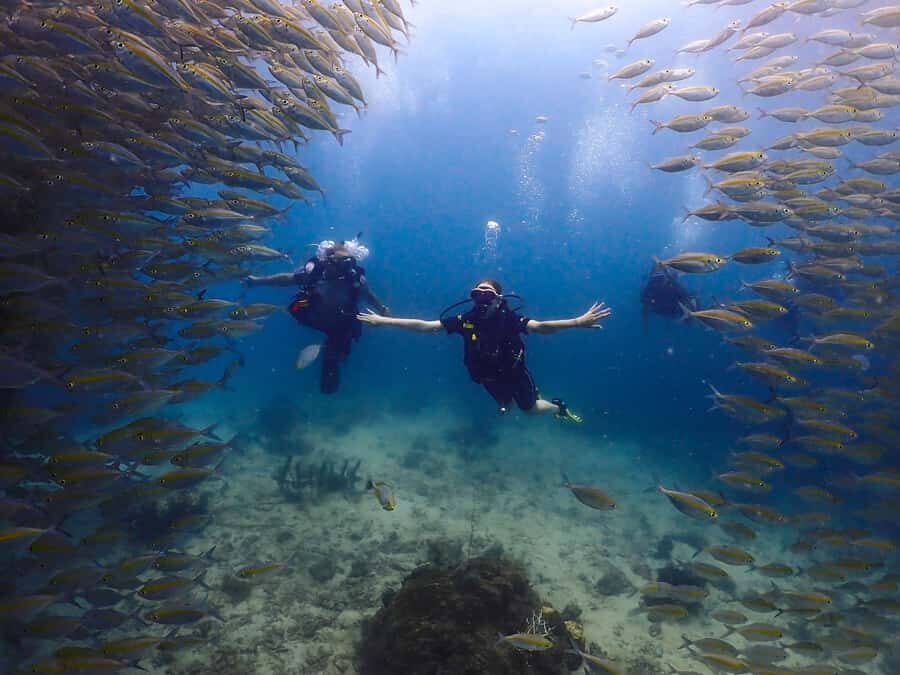 Koh Samui: Dive Tour to Koh Tao - What to Expect at Each Stop