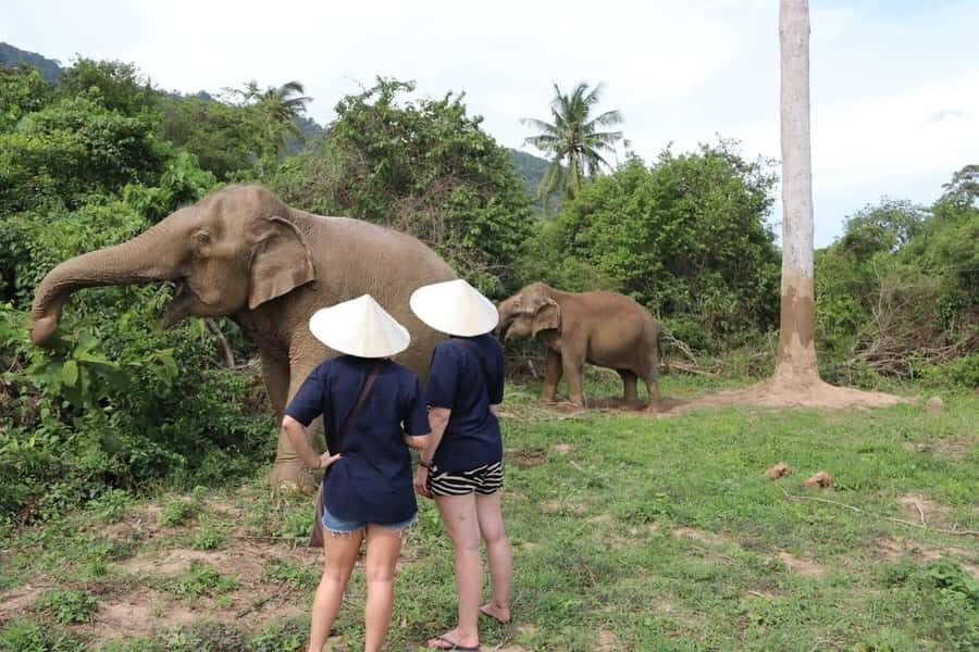 Koh Samui: Elephant Sanctuary and more - Full Day - What We Loved About the Tour