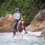 Koh Samui Horse Riding & Beach Trails - Who Should Consider This Tour?