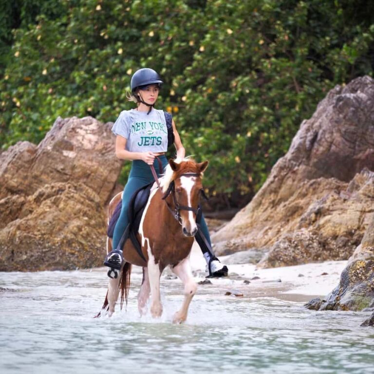 Koh Samui Horse Riding & Beach Trails - Who Should Consider This Tour?