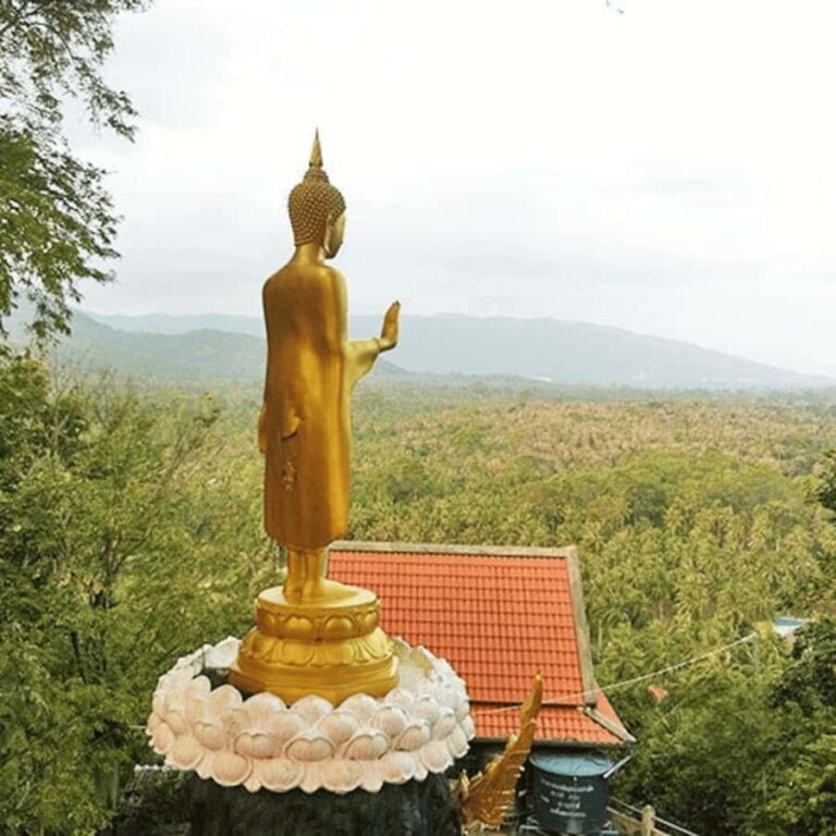 Koh Samui: Island Half Day Shore Excursion - Authentic Experiences and Traveler Feedback