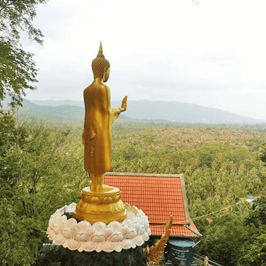 Koh Samui: Island Half Day Shore Excursion - Authentic Experiences and Traveler Feedback