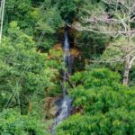 Koh Samui Jungle Zipline and Cafe with Waterfall Views - Practical Details and Value