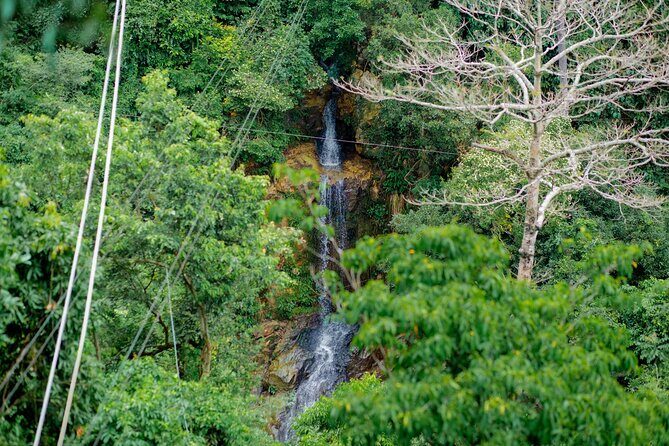 Koh Samui Jungle Zipline and Cafe with Waterfall Views - Practical Details and Value